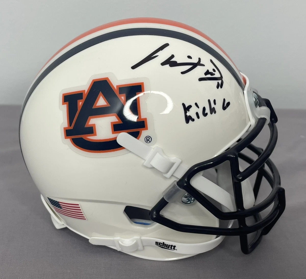 Chris Davis Auburn Iron Bowl