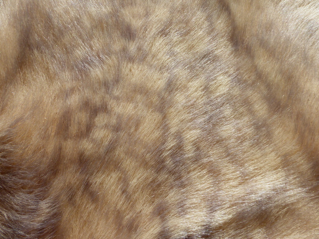 sheepskin shearling leather hide Brown Spotted Cream Toscana long silky ...