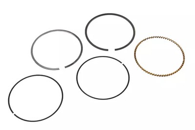 Genuine GM Piston Rings 12670787 | eBay