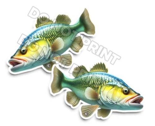 Largemouth Bass Vinyl Stickers FISH NATURE Great Outdoor ANIMAL DECAL ...