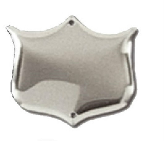 ANNUAL TROPHY SILVER SIDE SHIELDS FREE ENGRAVING PLATES AWARD CARTOUCHE ...