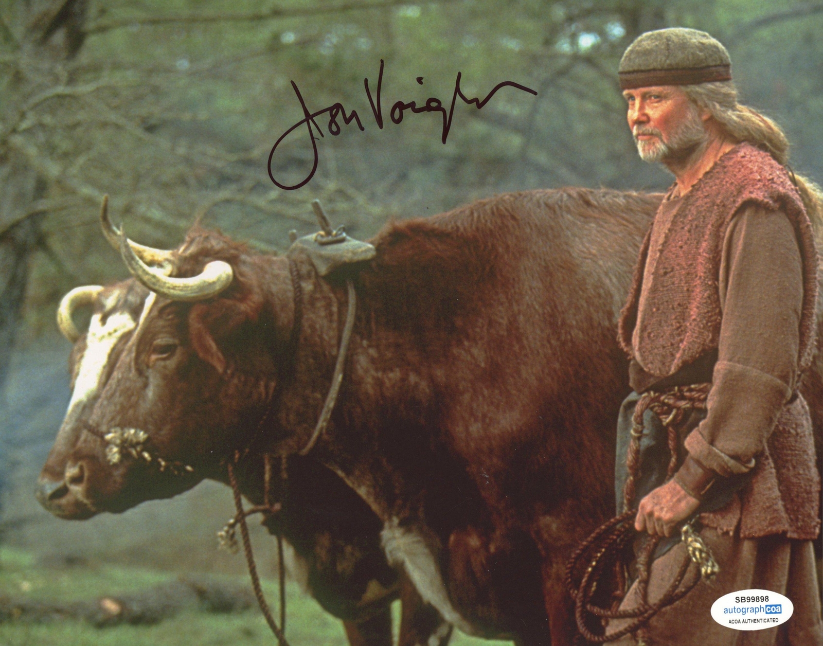 Jon Voight "Noah's Ark" AUTOGRAPH Signed 'Noah' 8x10 Photo ACOA | eBay