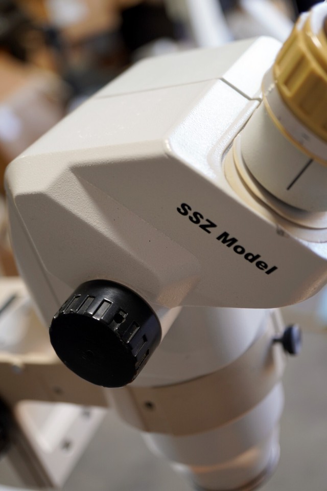 Scienscope SSZ Stereo Zoom Binocular Microscope **NICE | eBay