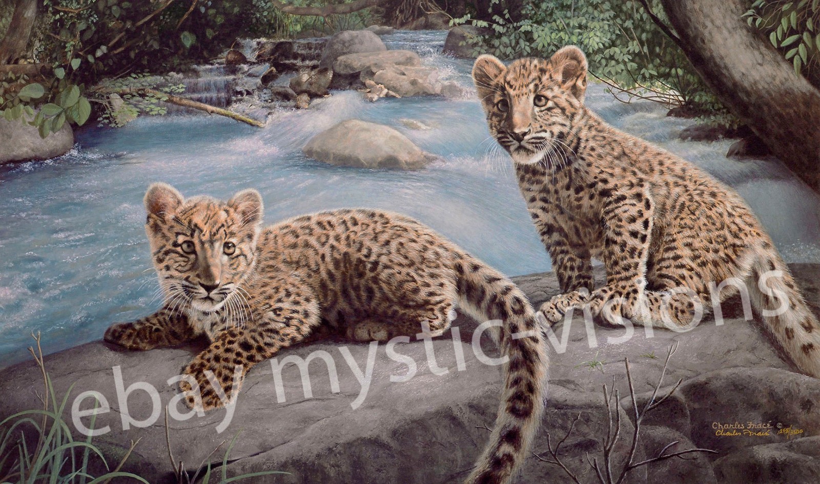 MESSENGERS OF HOPE by Charles Frace - Signed & Numbered wIth coa ...