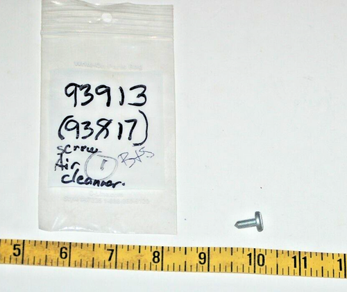 Vintage NOS Briggs & Stratton Air Cleaner Screw - P# 93913 (Replaces P ...