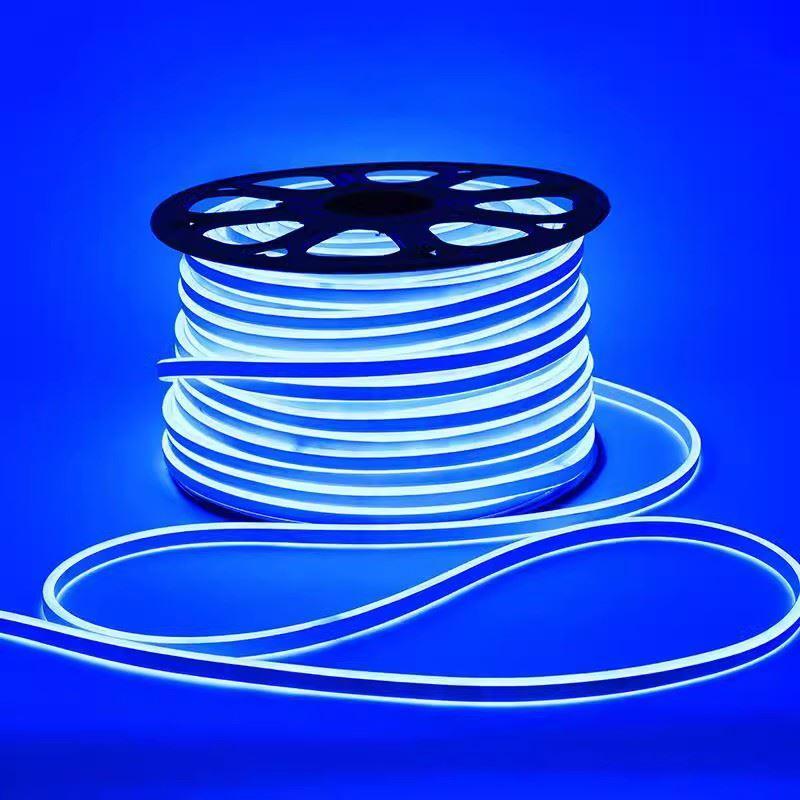 65ft Double-side Neon LED Light Strip 12V 24V Rope Tube Waterproof ...