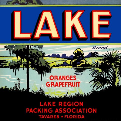 Lake Brand Florida Oranges & Grapefruit Citrus Fruit Crate Label Art ...