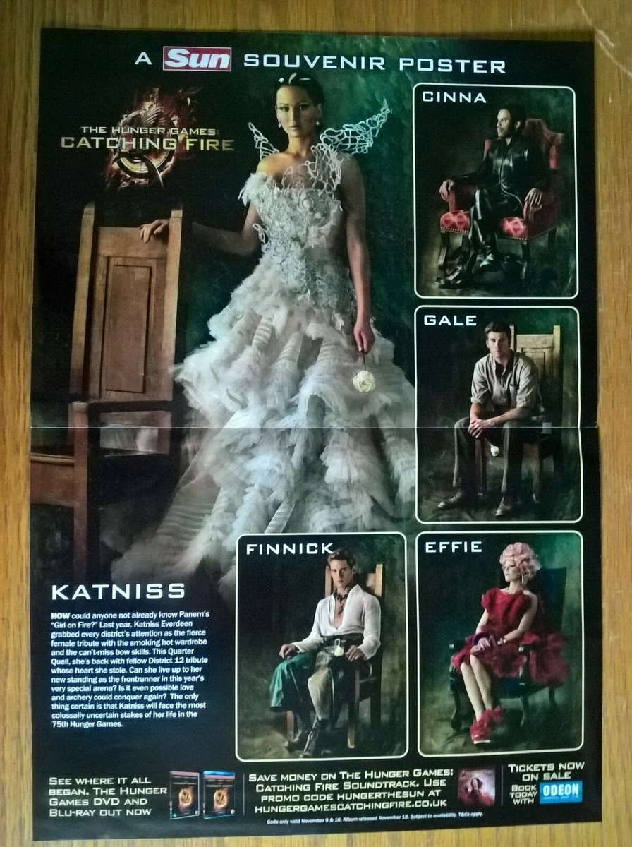 Gale Catching Fire Poster