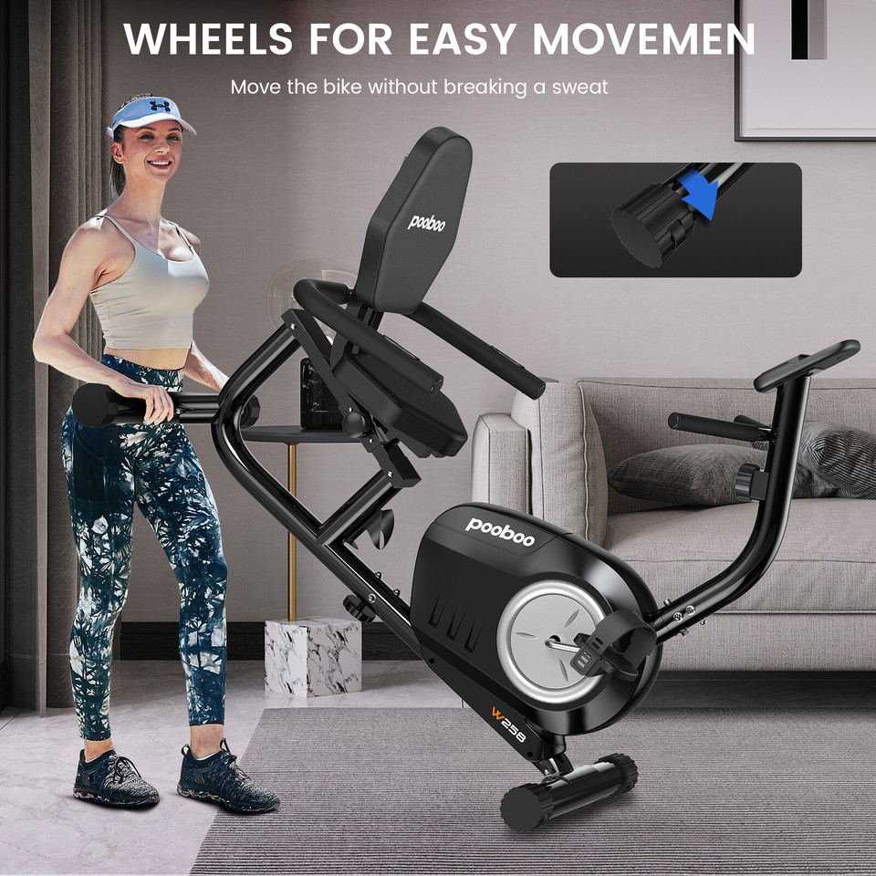 Indoor Recumbent Exercise Bike Stationary Bike Workout Bike Exercise ...