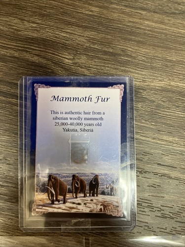 Woolly Mammoth Hair “Mammoth Fur” Authentic Hair Siberian Wooly Mammoth ...