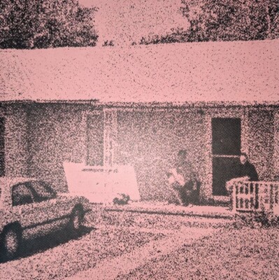 Jane Remover FRAILTY Limited New Sealed Pink Vinyl 2 LP | eBay