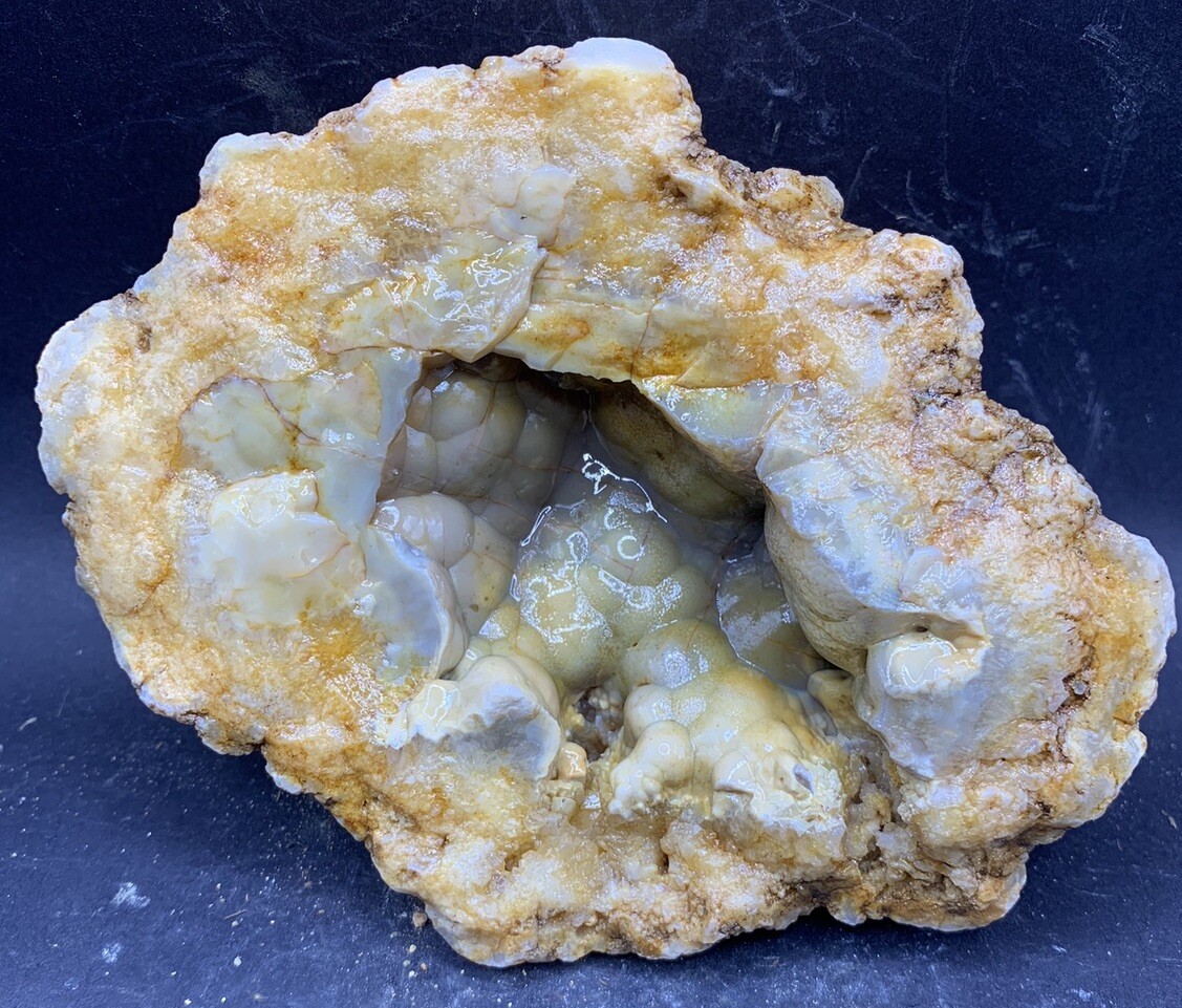 Fossilized Indiana Geode Quartz Crystal Open Face 1.5 Lb Agate crinoid ...