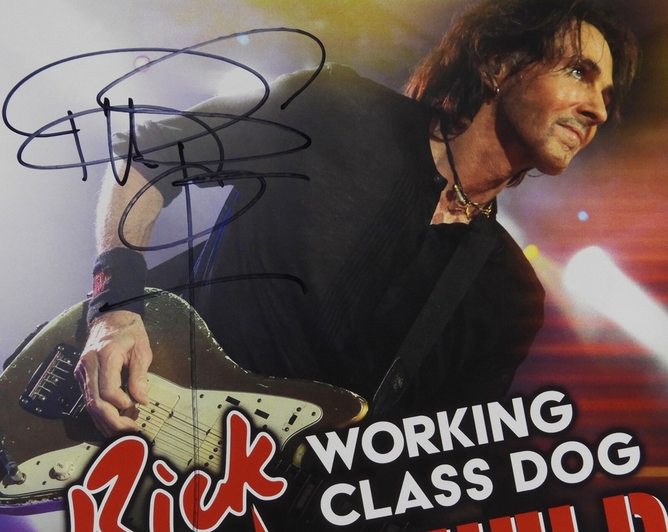 Rick Springfield JSA Autograph Signed Working Class Dog Concert Program ...