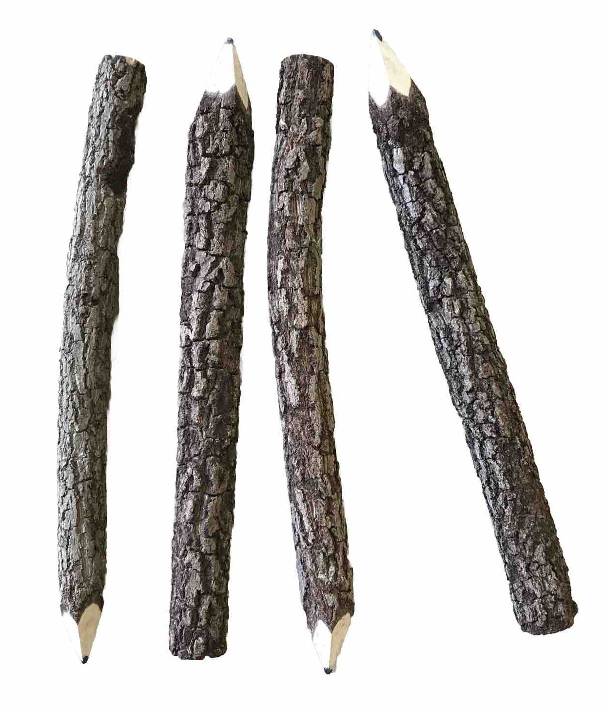 Branch 7 inch Pencils Natural Real Wood Set Of 4 7inch Rustic Office | eBay