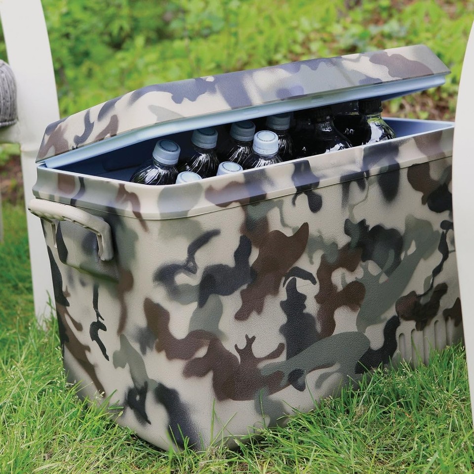 Krylon Camouflage Paint, Ultra Flat, 11 Ounce (Pack of 1), Sand ...