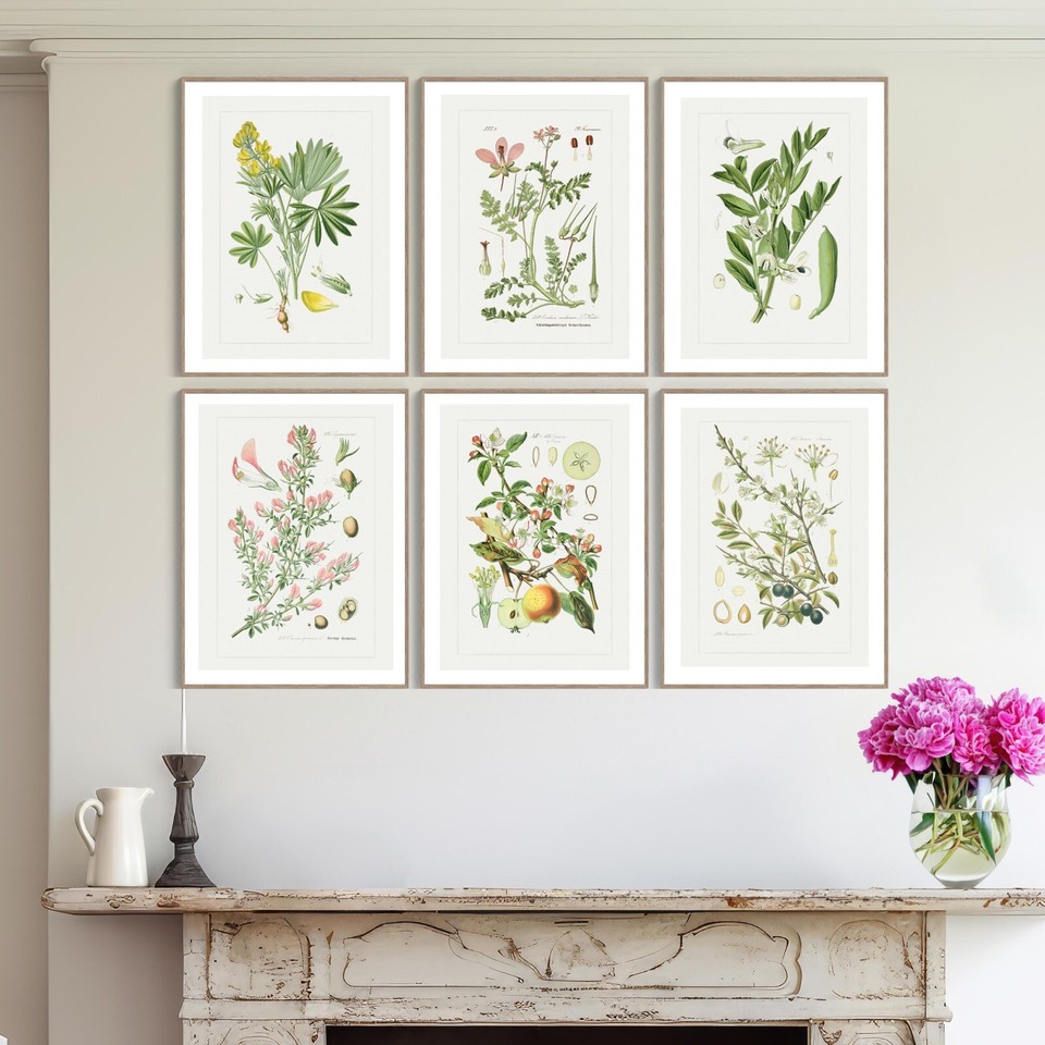 Set of 6 Antique Repro Botanical ART PRINTS Picture Home Gallery Wall ...