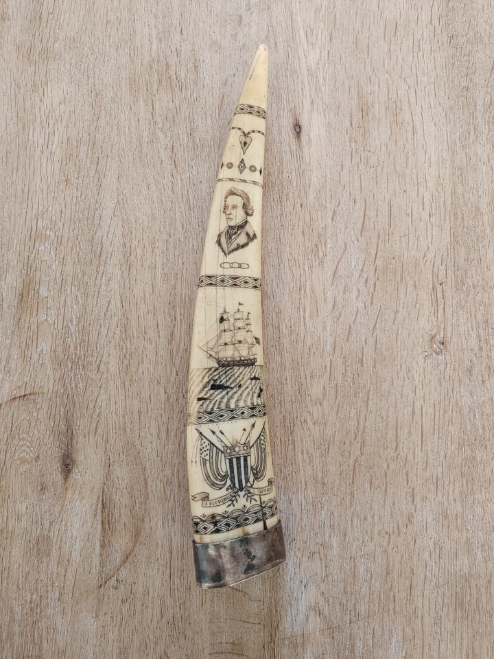 Scrimshaw Tusk 15 Inch The Ship Regulus, Captain James Hoad Resin ...