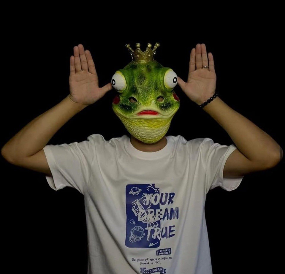 Funny Frog Mask for Cosplay Party Bar Performance, Prank Props Headgear ...