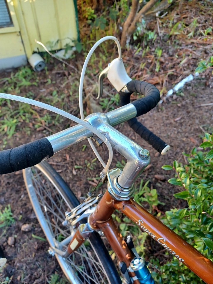 Raleigh Super Course Bicycle | eBay