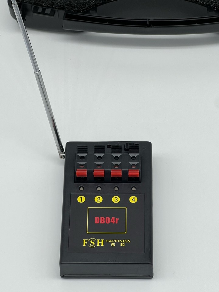 Profession 12 Cue Wireless Fireworks Firing system Remote control-Ships ...