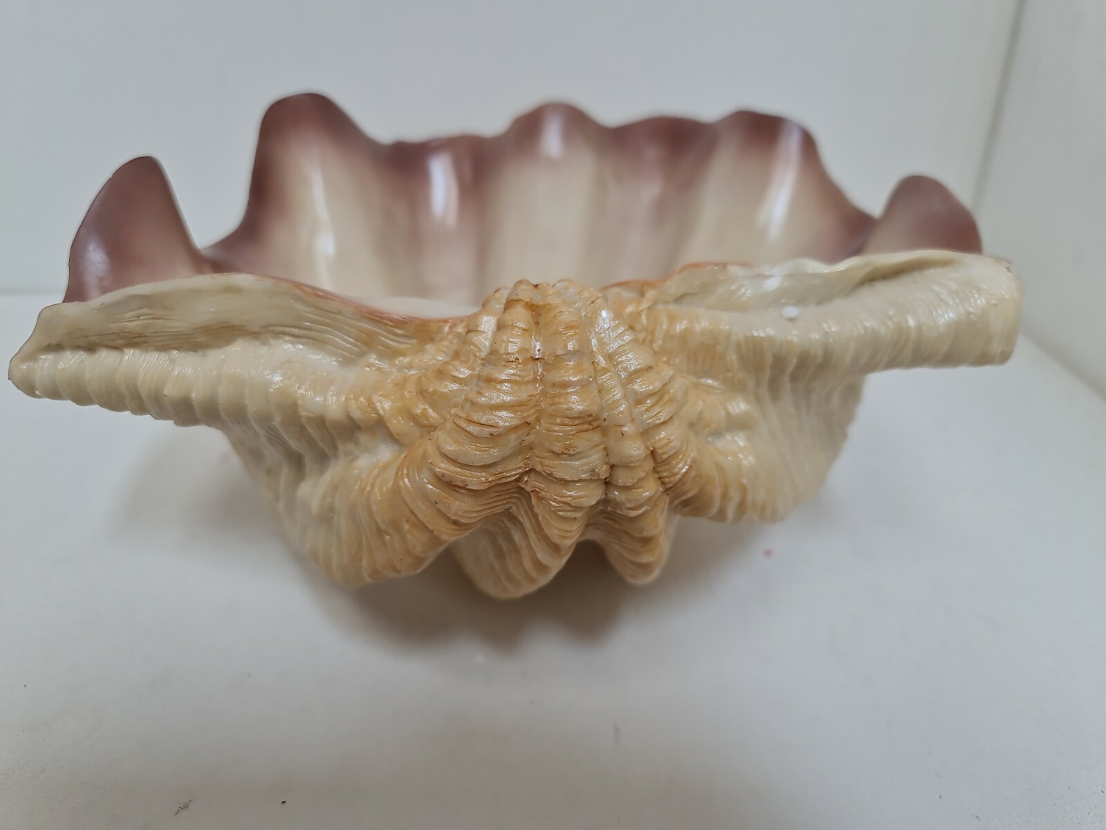 Resin Clam shell bowl Ornament Beach coastal Tropical Nautical home ...