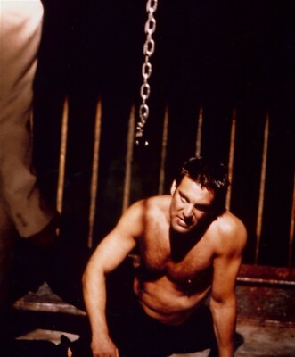MICHAEL T. WEISS SHIRTLESS BEEFCAKE photo in JAIL CELL B108 | eBay