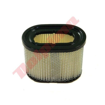 FILTRE À AIR POUR BRIGGS & STRATTON (498596, 690610) 64 x 28 x 76 | eBay