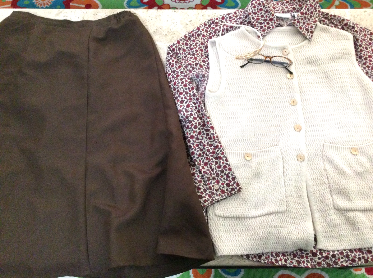 Amy Farrah Fowler Costume