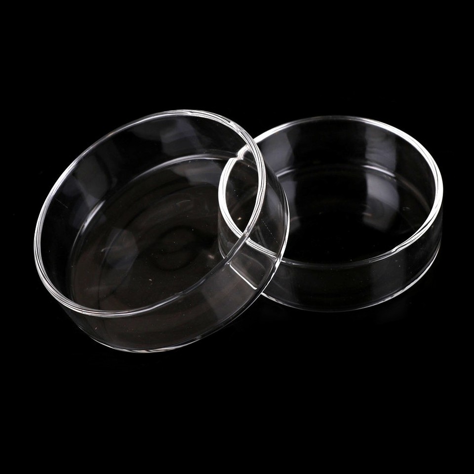 60mm Glass tissue petri dish culture dish culture plate with cover @SNS ...