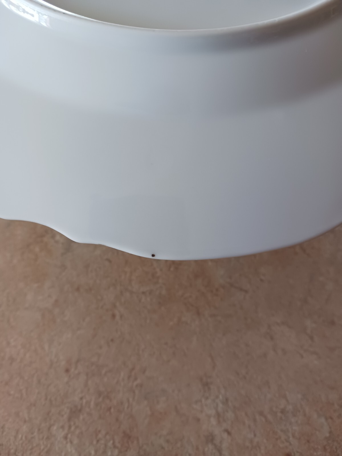 Wellin Fine China Dinner Plate 10.5 in "Duberry" Pattern | eBay