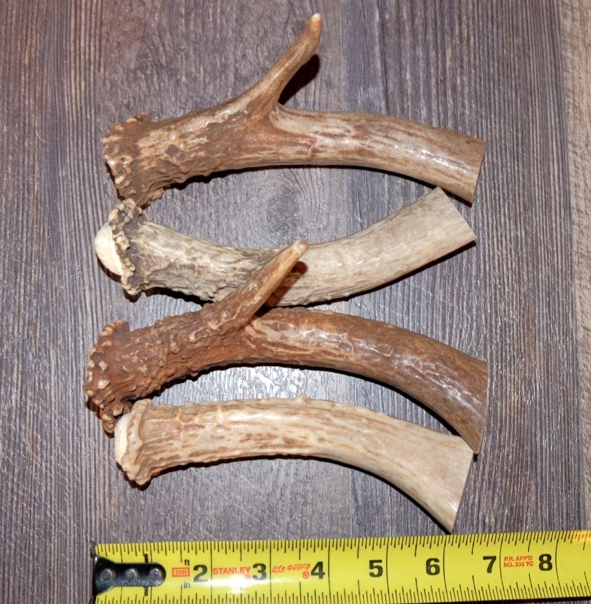 4 Antler Knife Handle Blanks: Crafts Dog Chew Treats #89 | eBay