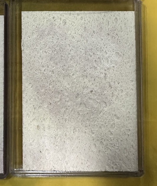 2009 TOPPS SPONGEBOB SQUAREPANTS SERIES 1 Real Sponge Card RARE RARE ...