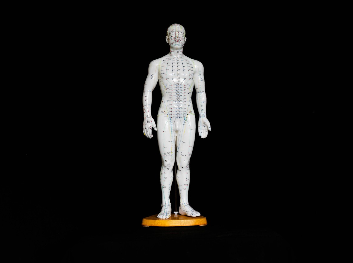Lifesize Acupuncture Model Anatomical Models