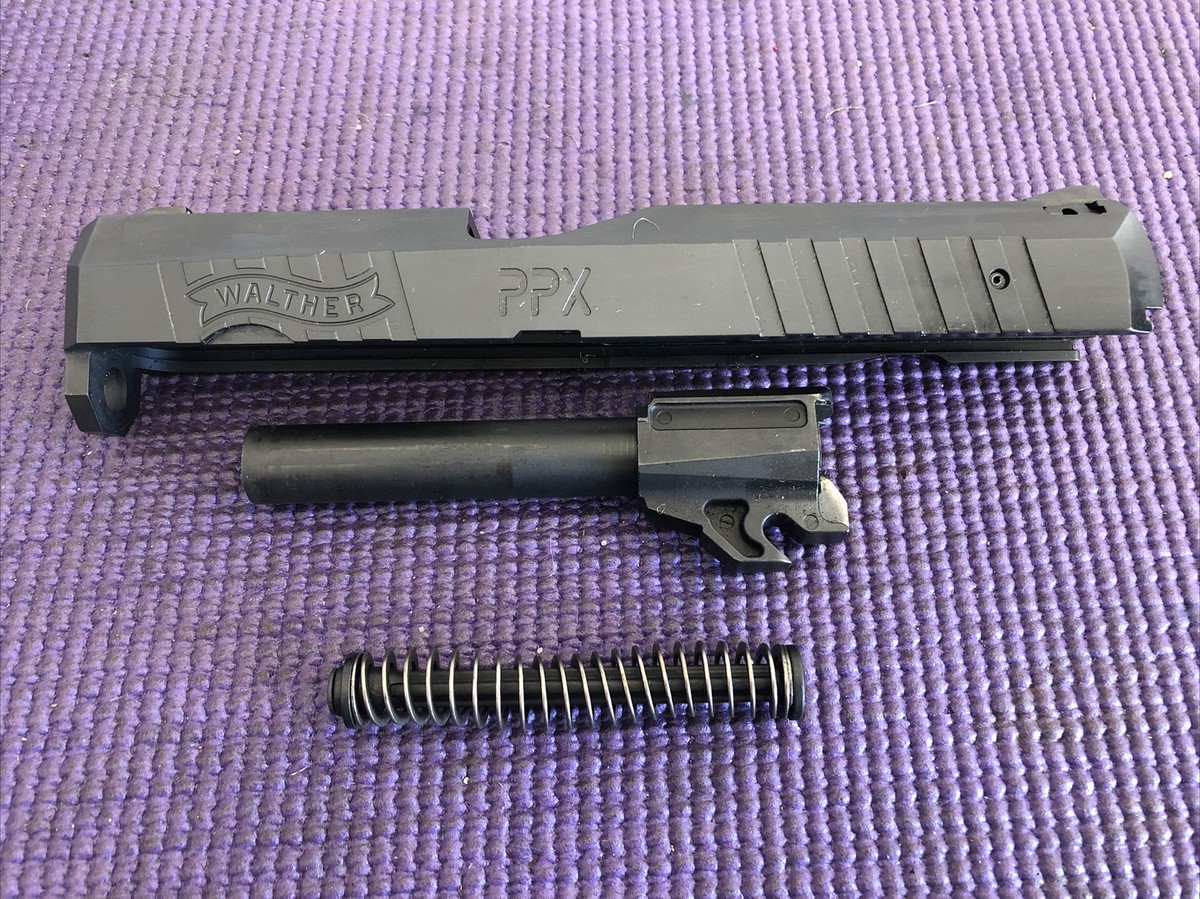 Walther Ppx Stainless