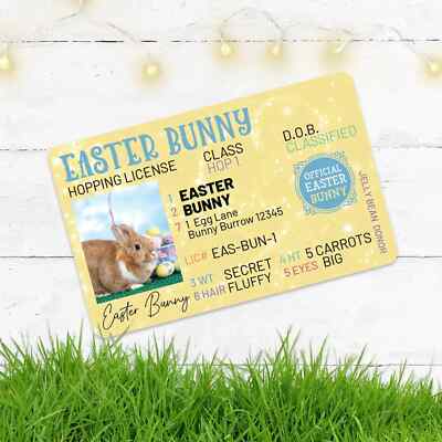easter bunny hoppying fyling license | eBay