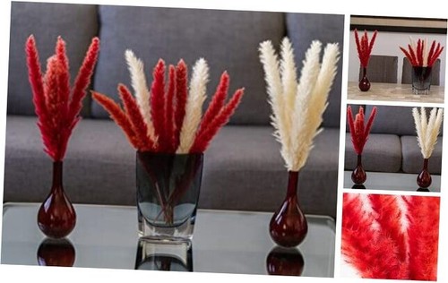 Natural Pampas Grass Home Decor, 15 Full and Fluffy Stalks, Tall 40 cm ...