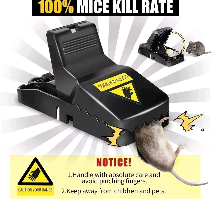 12 Pack Mouse Traps Rat Mice Killer Snap Trap Power Rodent Heavy Duty ...