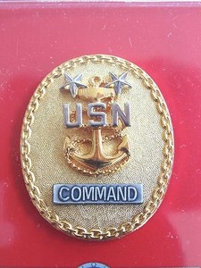 Command master chief badge - sevenfess