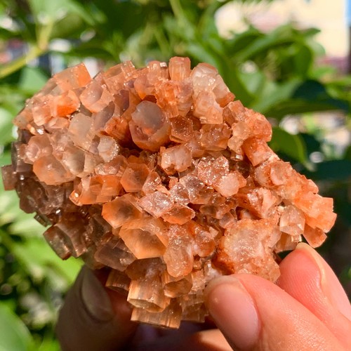 144G Aragonite Star Cluster from Morocco - natural crystal healing ...