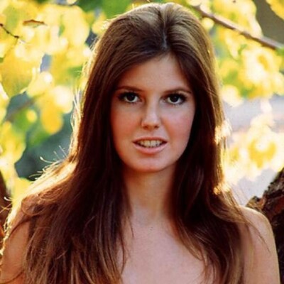 Debbie Davis 10 Different 4x6 Super Glossy Images Photo Collection | eBay