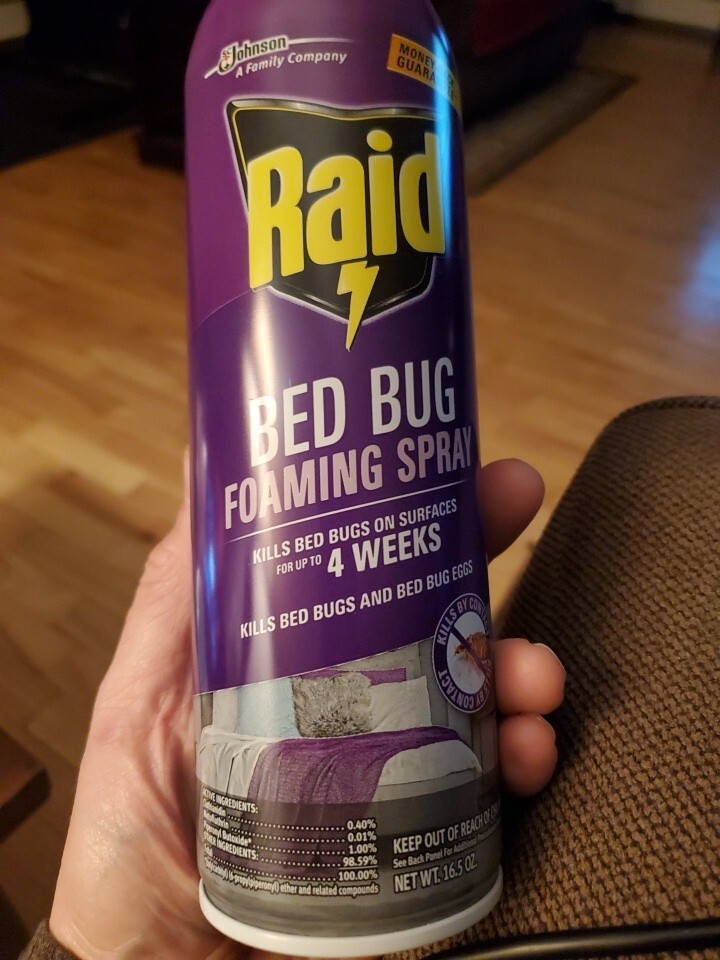 Raid Bed Bug Foaming Spray 16.5 oz. | eBay