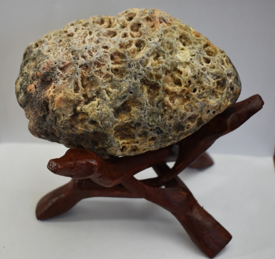 Golden Drusy Crystal Brain Geode North Carolina on Display Carved Wood ...