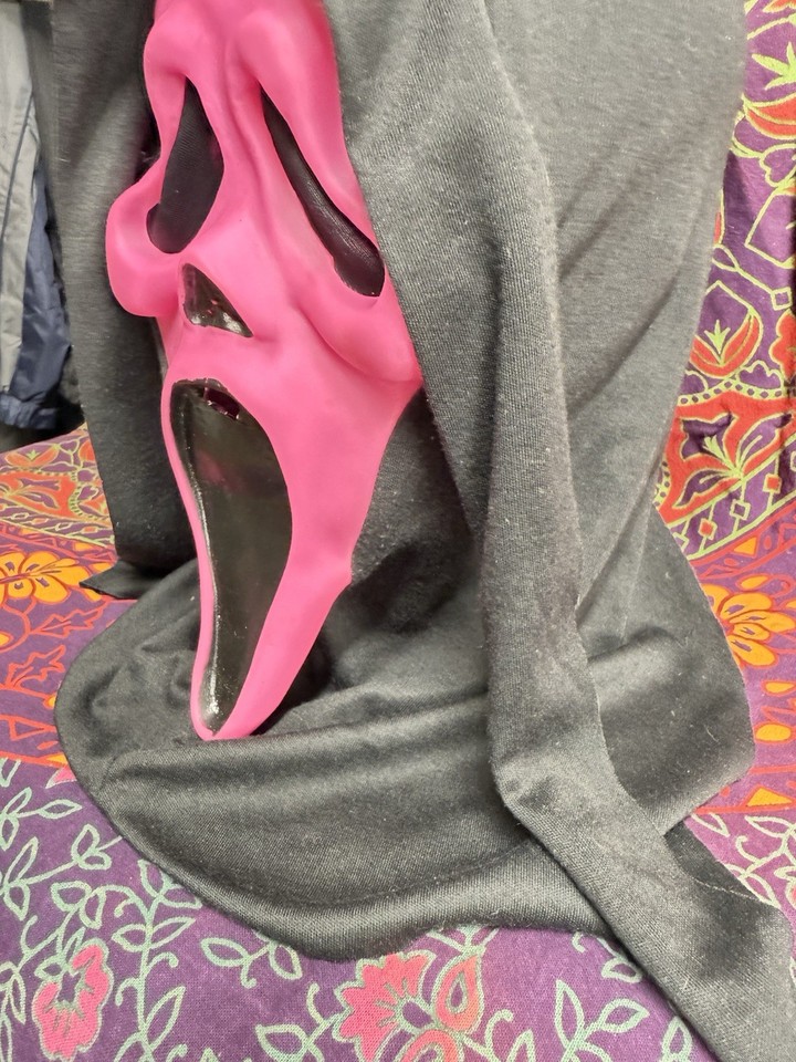 Fun World Ghost Face Scream Adult Hooded Costume Mask. | eBay