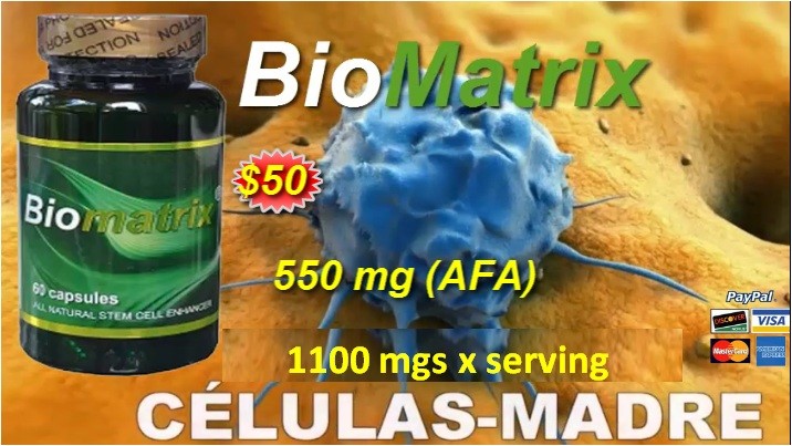 Soporte para células madre BIOMATRIX original, 3 CELULAS MADRE, Bioxcell.bacterium plus