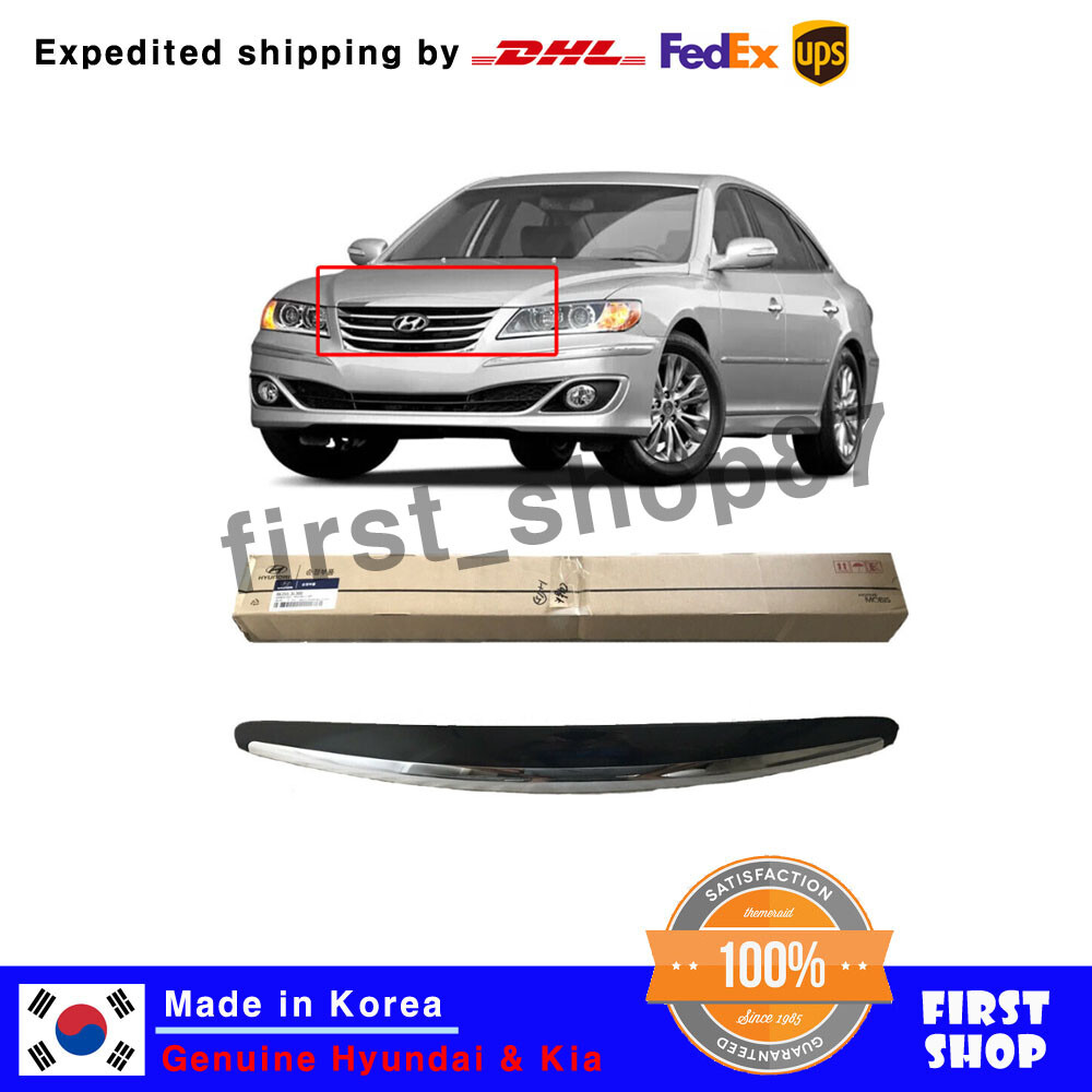 Hood Radiator Grille Upper Garnish Assy 86355 3L300 for Hyundai Azera ...