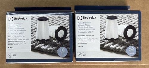 Electrolux Replacement Vacuum Filter for Ergorapido (2BOX of 2PK) | eBay