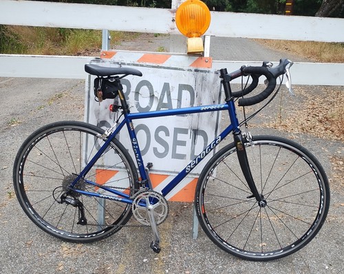 SEROTTA FIERTE frame and fork(s) 54cm Steel. | eBay