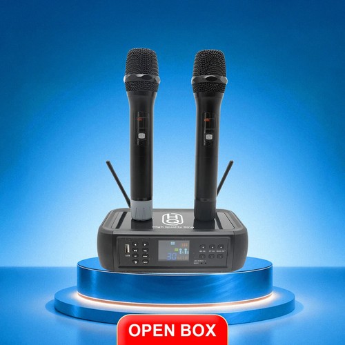 DSP124B Wireless Microphone System| Outdoor Karaoke | Rechargeable ...