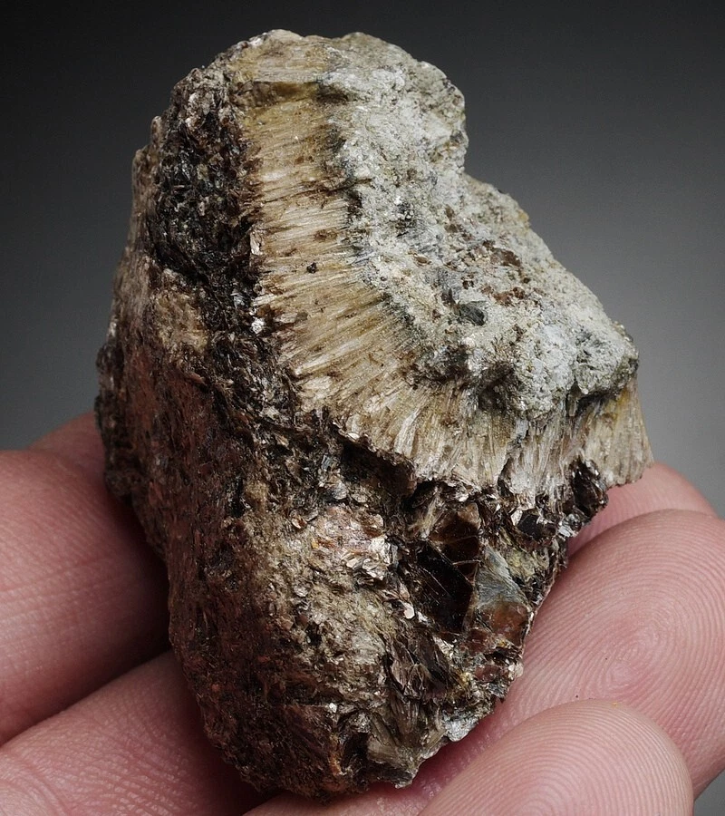 Anthophyllite Mineral