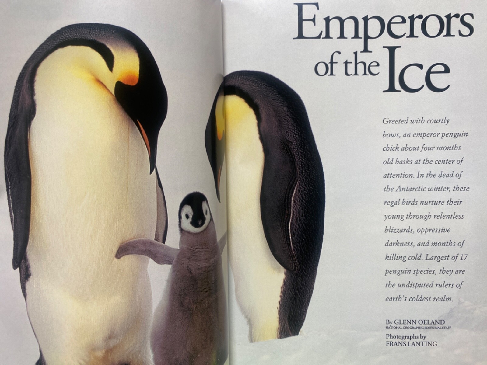 National Geographic March 1996 Emperors Of The Ice Vol.189 No.3 | eBay